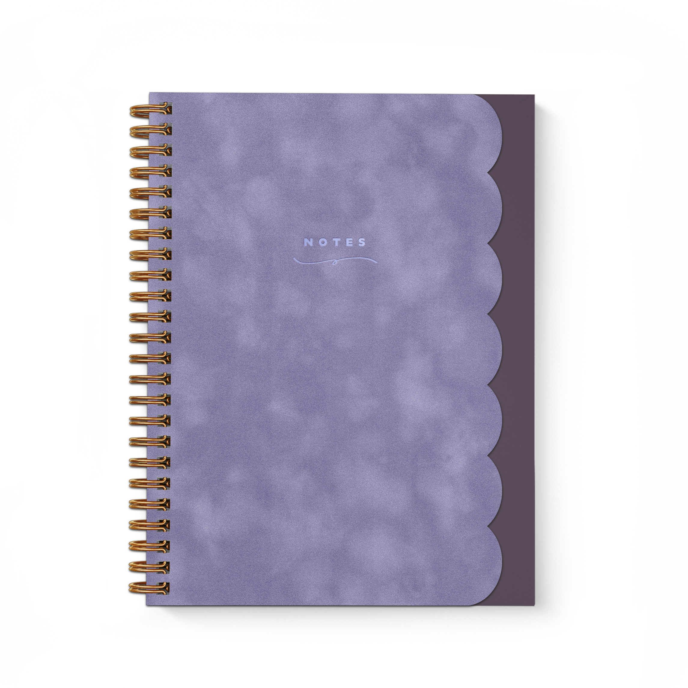 Scallop Notebook In Nightshade Smitten On Paper